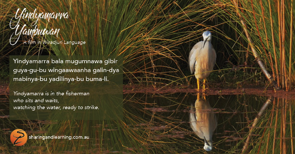 Books | Sharing and Learning