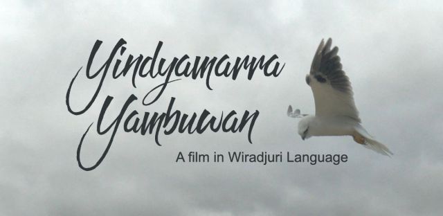Where to see Yindyamarra Yambuwan | Sharing and Learning