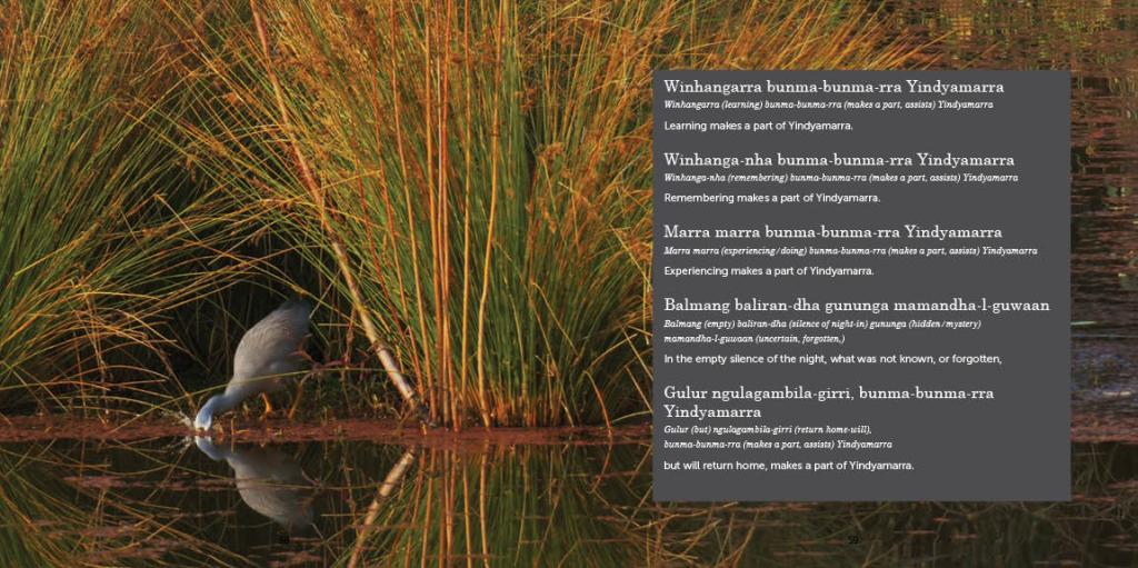Canberra Book launch – Yindyamarra Yambuwan book now available ...