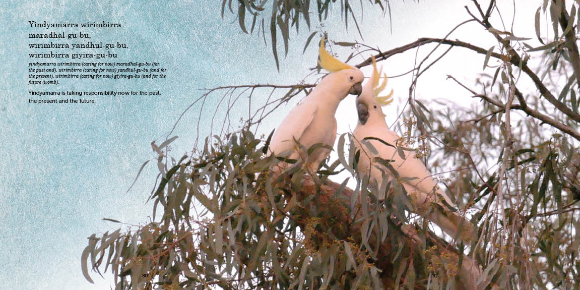 Yindyamarra Yambuwan screenings, talks and book launches | Sharing and ...